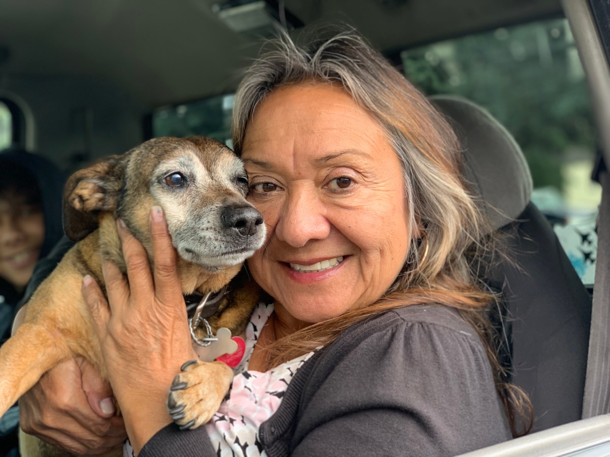 Happy Tails! – harleys hope